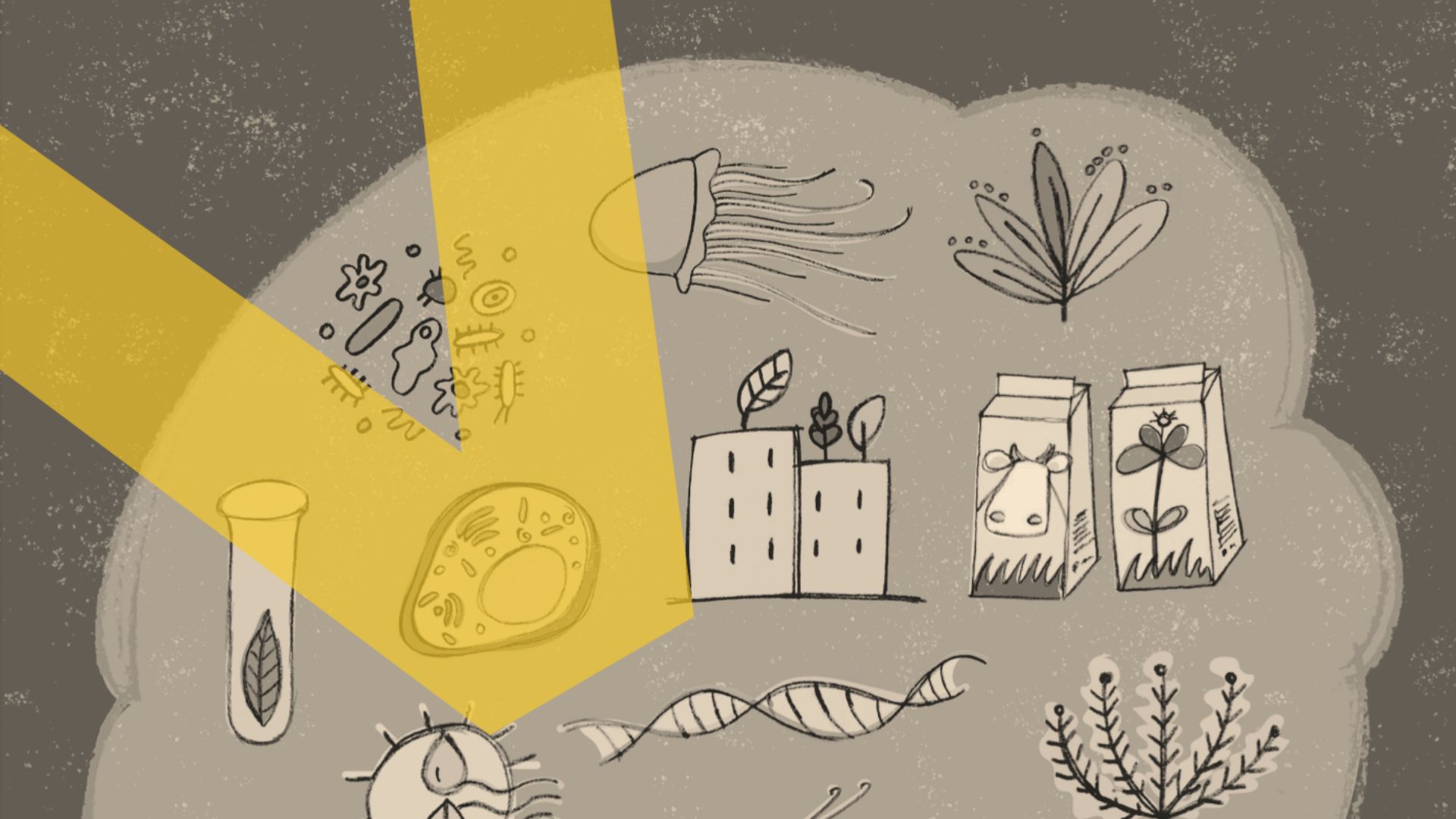 All Projects | UN 2.0 | United Nations